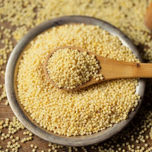 Buy Proso Millet – Gluten-Free Supergrain | The Chakki Co.